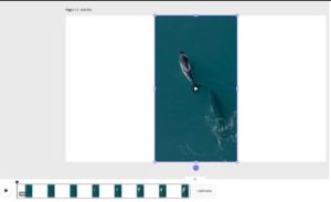 Adobe Express: Creating a Video Project – E-learning Help Guides
